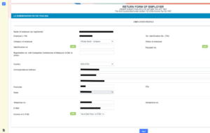 Form E Filing Guide for Malaysian Businesses (2025) - Bispoint